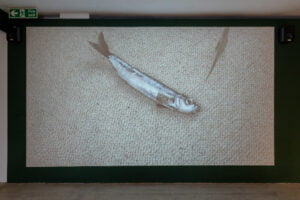 Jocelyn McGregor: 'Mantle' - Exhibition Review - The State Of The Arts ...