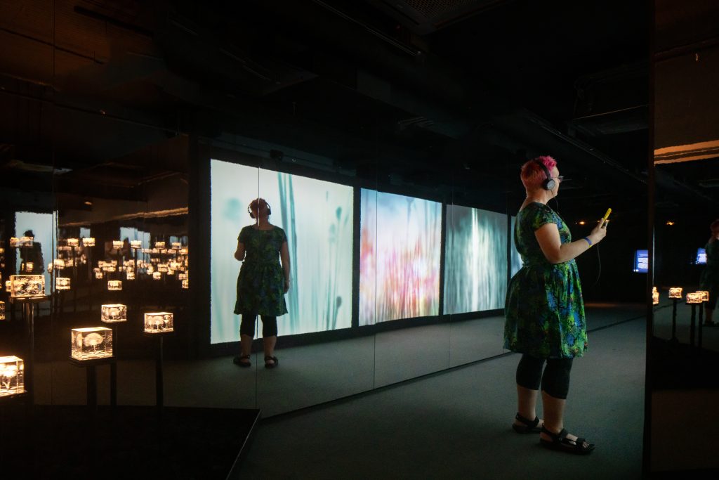Bees A Story Of Survival” World Premiere At World Museum Liverpool
