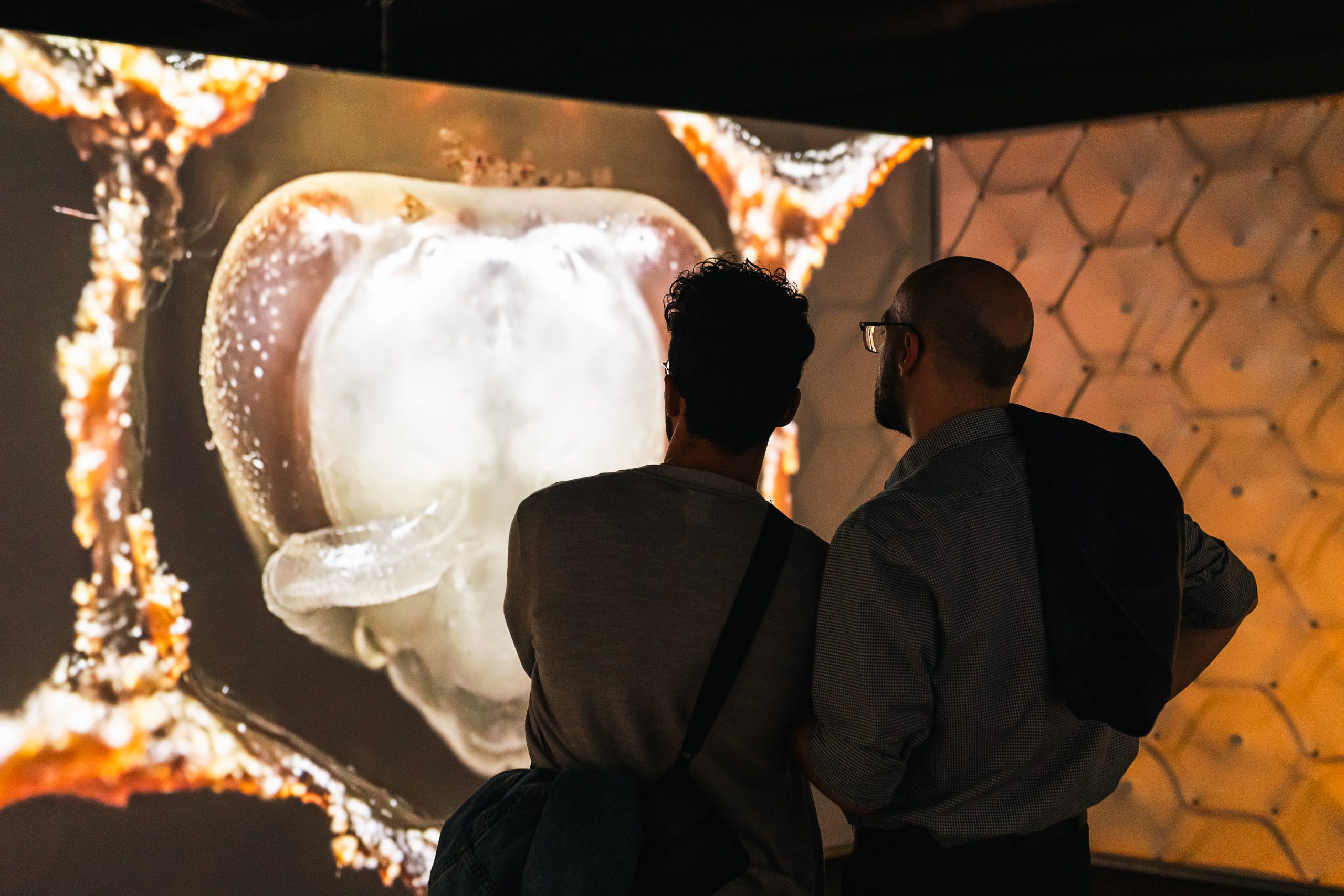 “Bees: A Story of Survival” – World Premiere at World Museum Liverpool ...